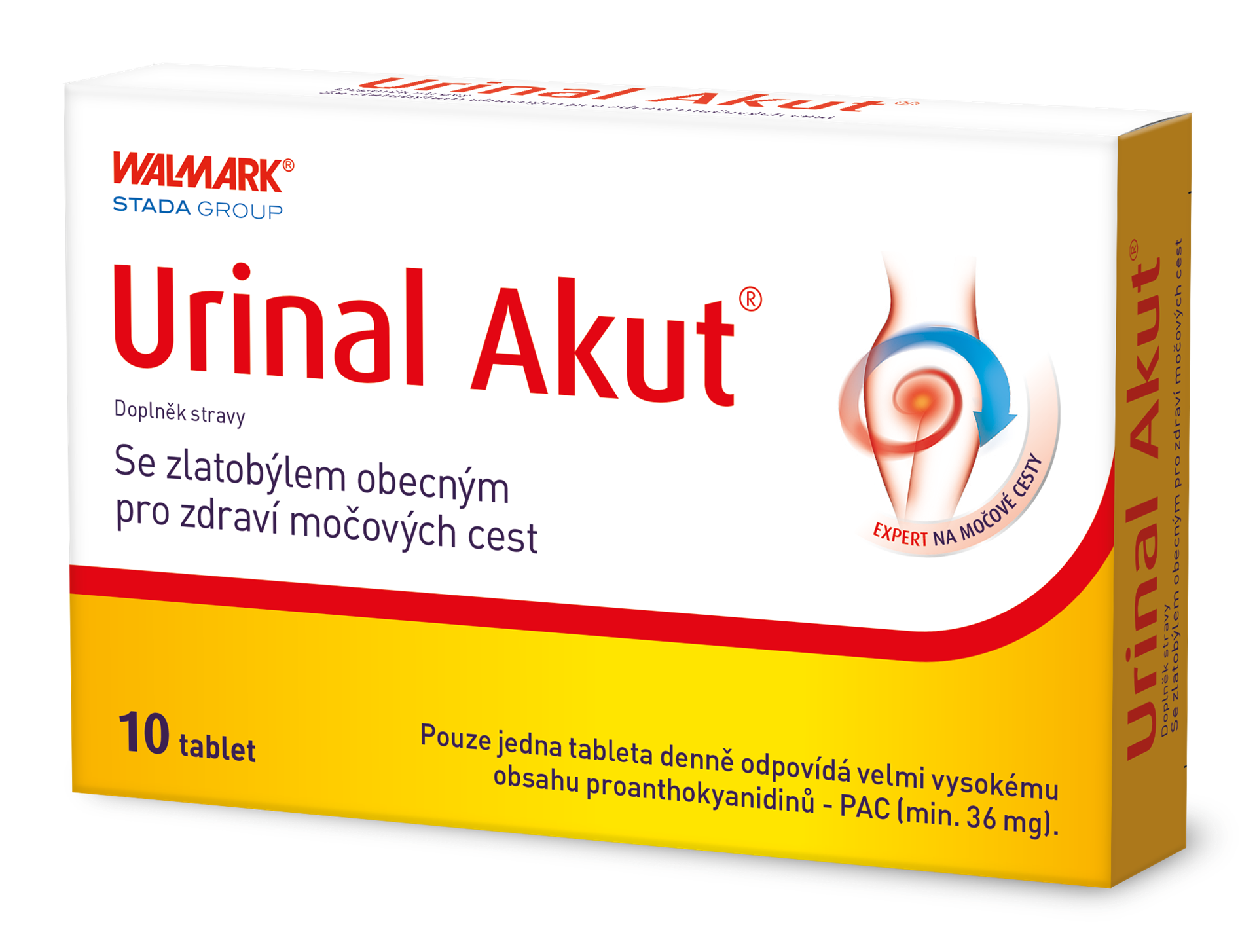 Kvíz o močových cestách